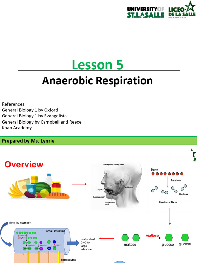 Lesson 5 Cellular Respiration (Anaerobic Respiration) | PDF | Cellular ... Lesson 5 Cellular Respiration (Anaerobic Respiration) | PDF | Cellular ...