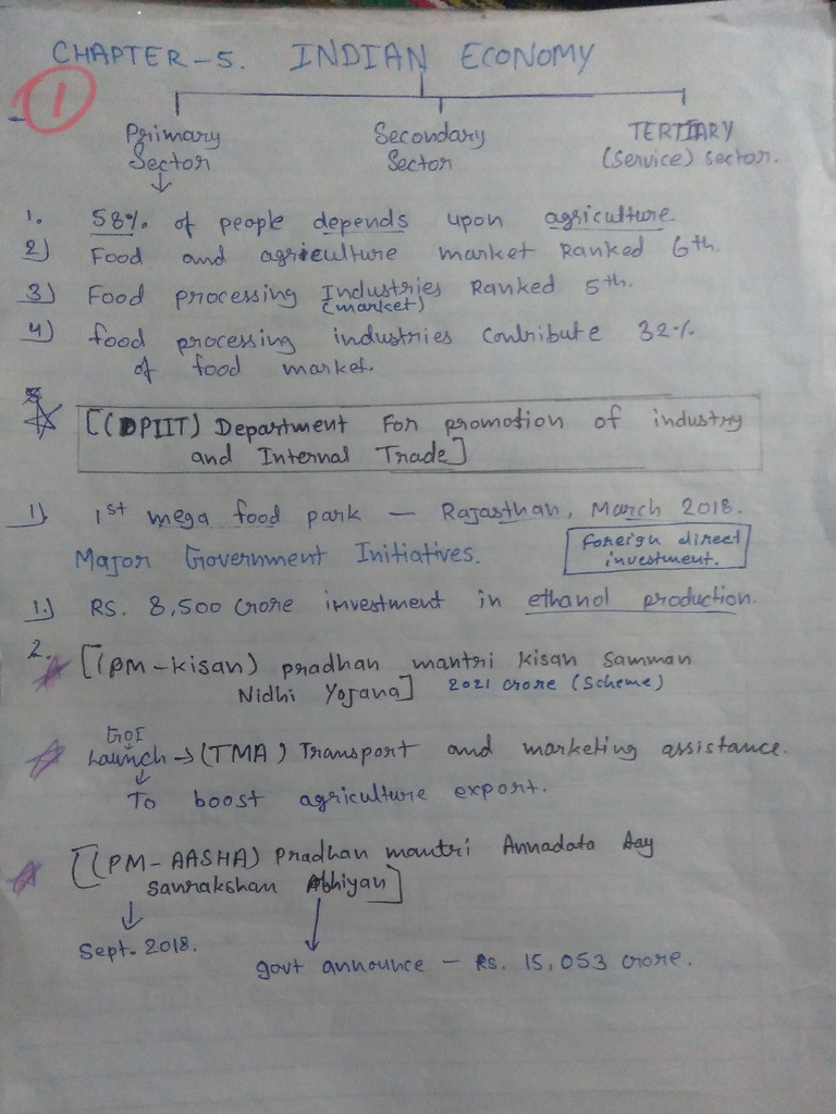 Indian Economy Notes. (Economics) | PDF