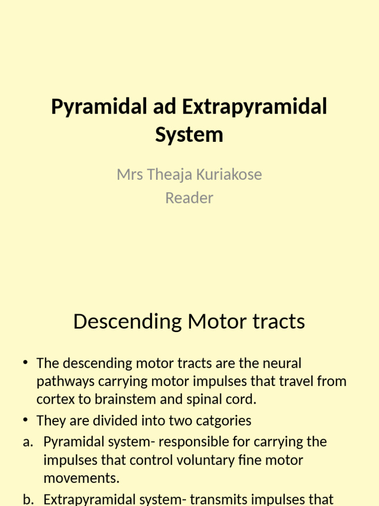 Pyramidal and Extra Pyramidal System | PDF | Motor Neuron | Brainstem