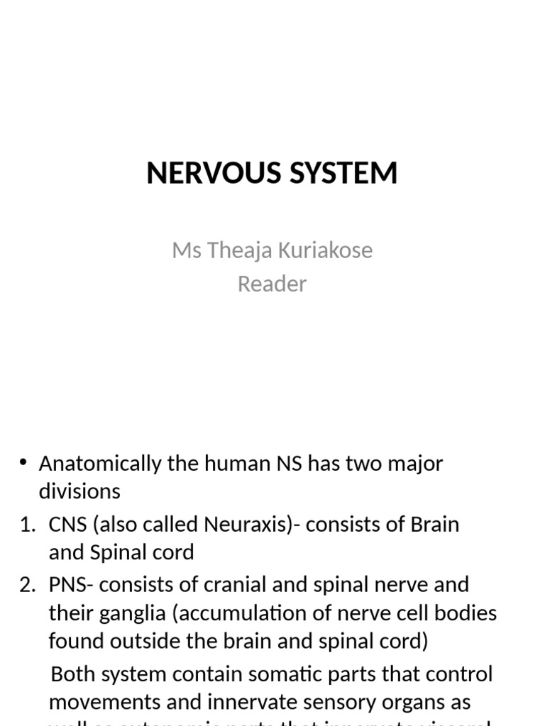 Review of Neuroanatomy Cerebral Cortex | PDF | Cerebral Cortex | Cerebral Hemisphere