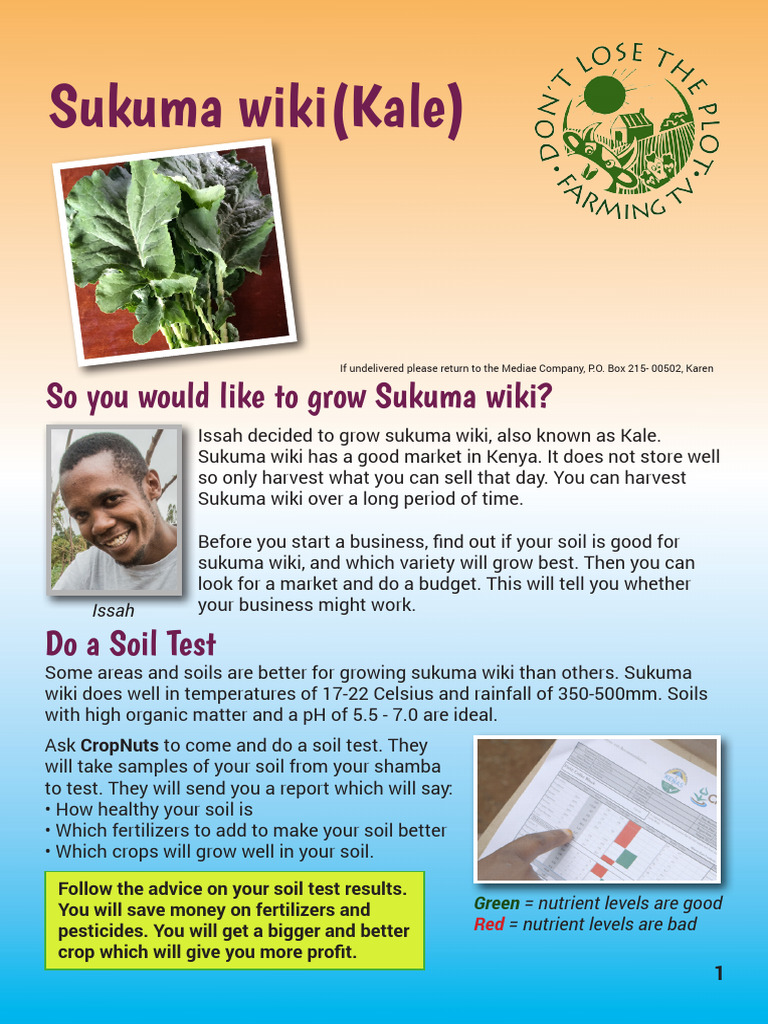 Sukuma Wiki Farming Guide | PDF | Fertilizer | Soil
