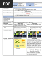 Photosynthesis Lesson Plan for Elementary | PDF