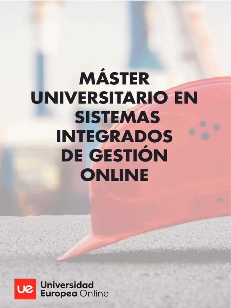 Master Universitario Sistemas Integrados Gestion Online v4 | PDF ...