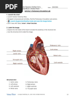 Pig Heart Dissection Manual STEM | PDF | Heart Valve | Atrium (Heart)