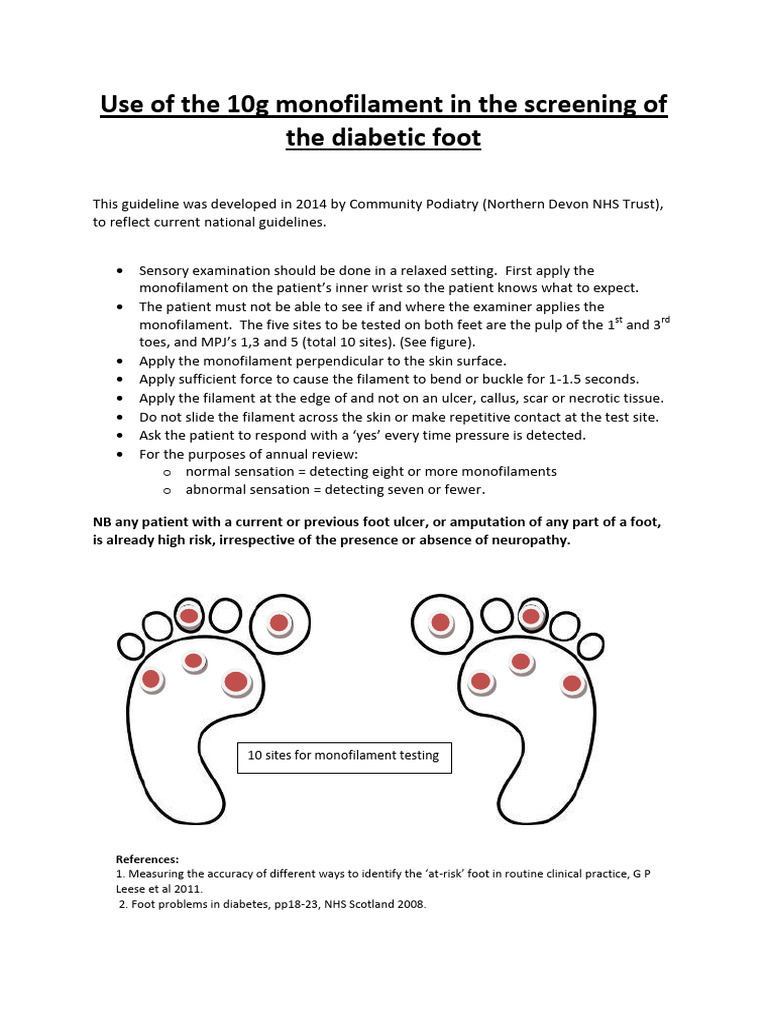 10g Monofilament Testing Guidelines | PDF