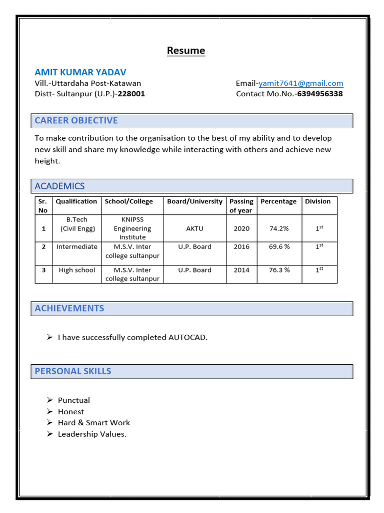 CV Amit | PDF