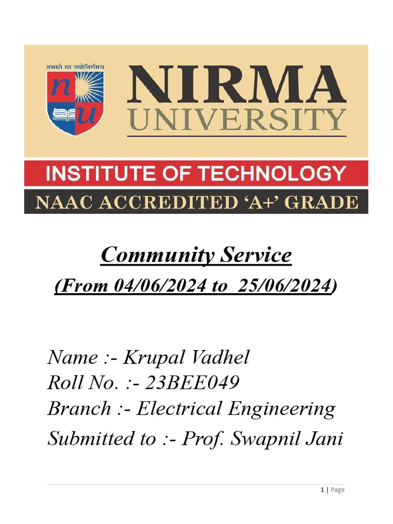 Community Service 2 | PDF | Disability | Physical Therapy