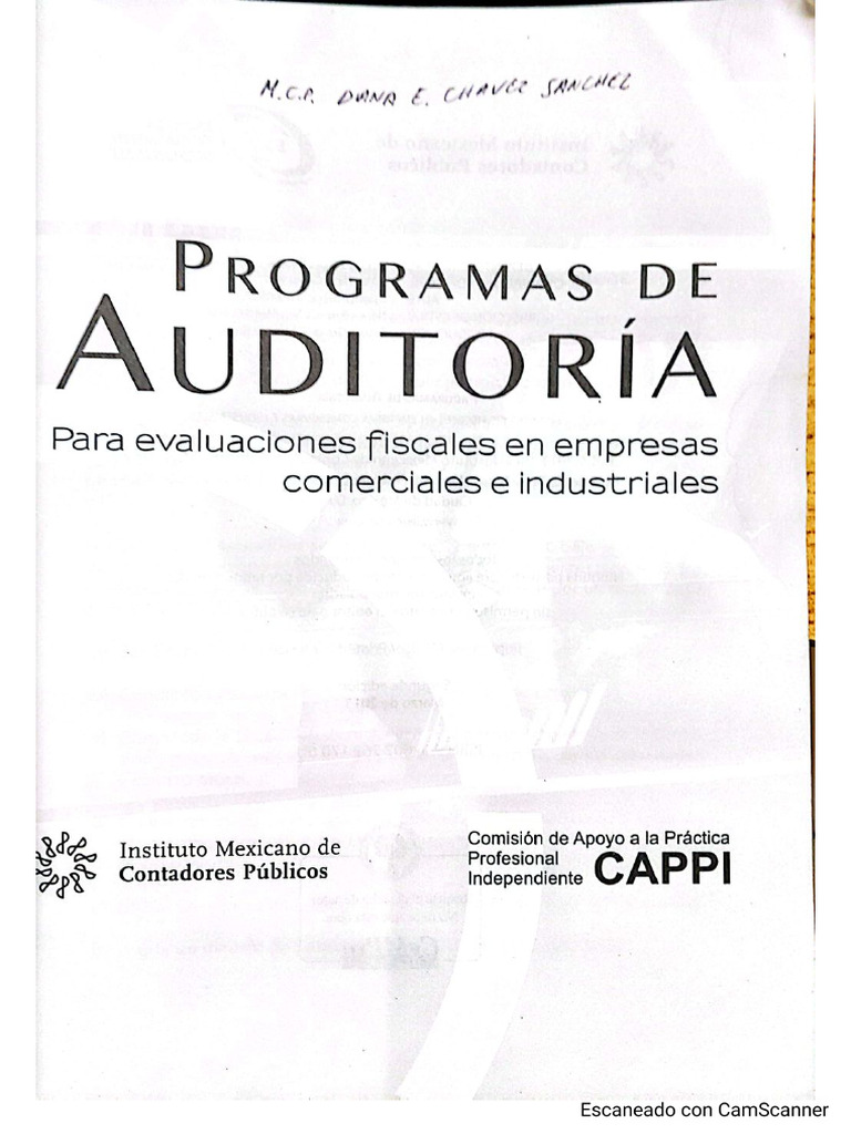 Libro Programas Auditoria Fiscal | PDF