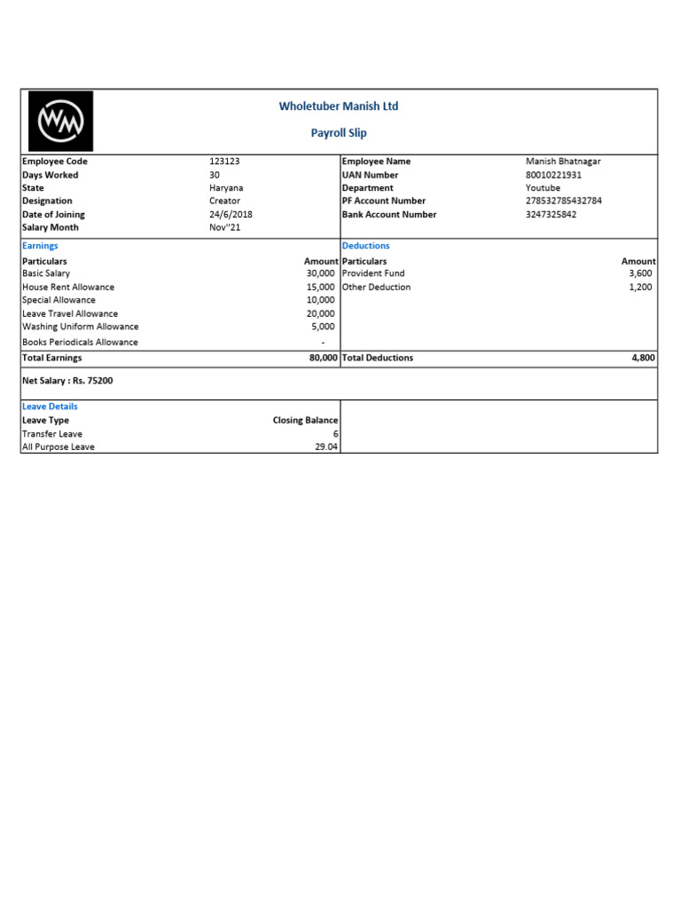 Salary Slip PDF - Sample | PDF