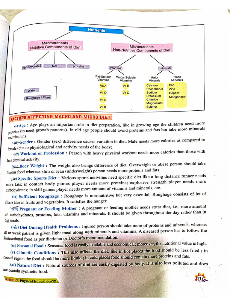 Phy Edu CH - 5 | PDF