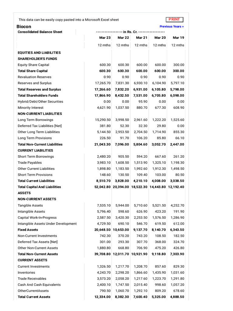 Consolidate Balance Sheet | PDF | Equity (Finance) | Balance Sheet