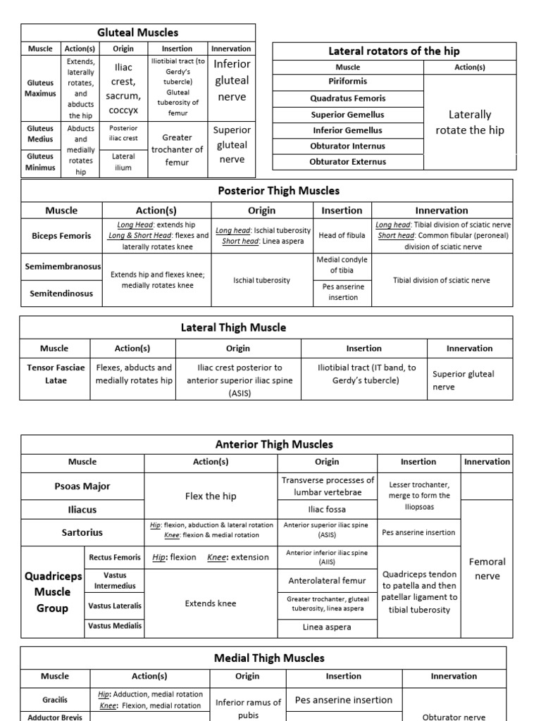 LE_MOINA_ | PDF | Human Leg | Foot