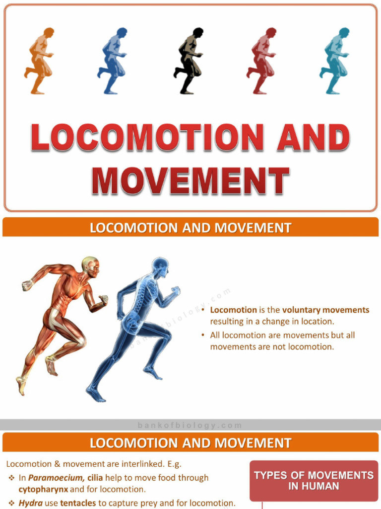 20 Locomotion N Movement - Picture Slides - Demo | PDF