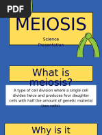 Meiosis: PMAT Stages Explained | PDF