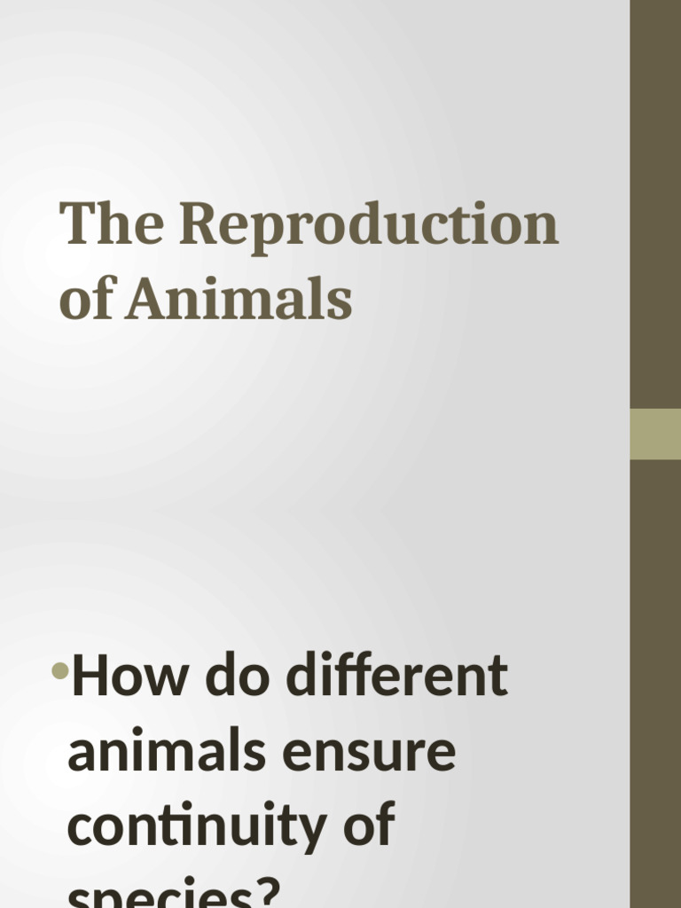 Types of Animal Reproduction Explained | PDF | Reproduction | Egg