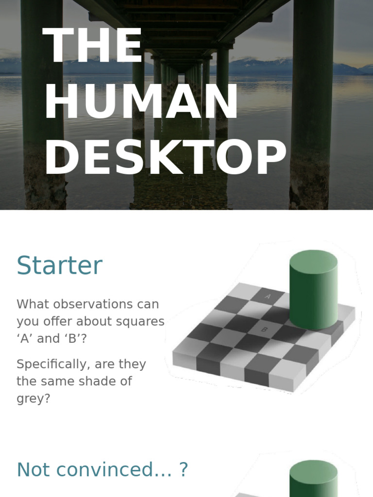 1.7 - Constructing Reality | PDF