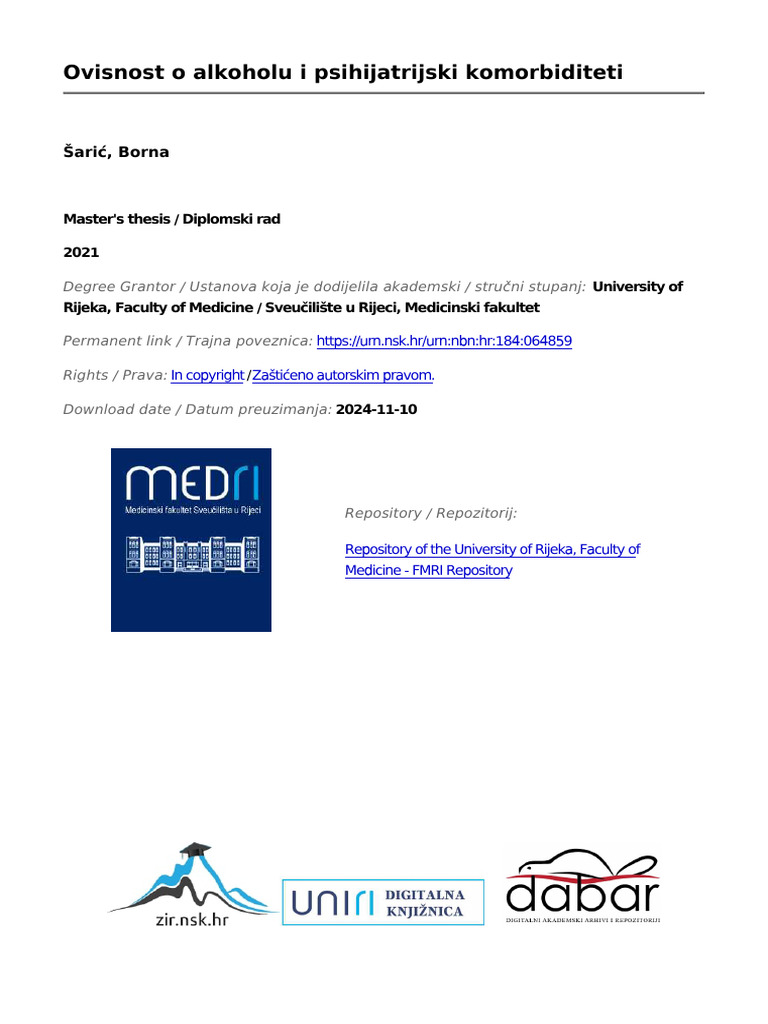 Diplomski Rad Finalno Borna Saric | PDF