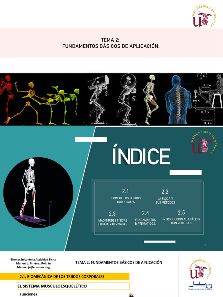 Apuntes Biomecanica T2 | PDF | Biomecánica | Vector Euclidiano