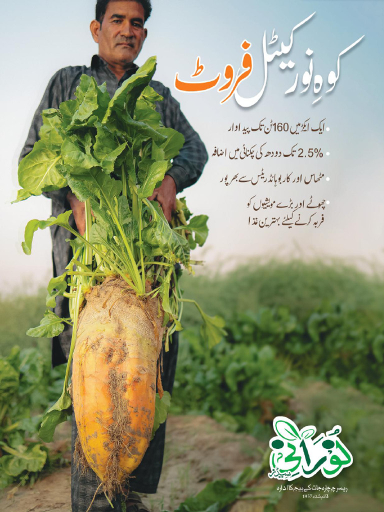 Cattle Fruit Broucher | PDF