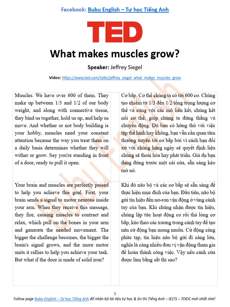 What Makes Muscles Grow | PDF