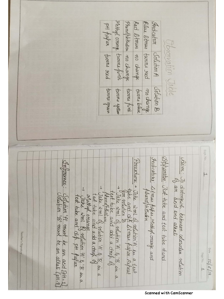 Practical Work Class 10 | PDF