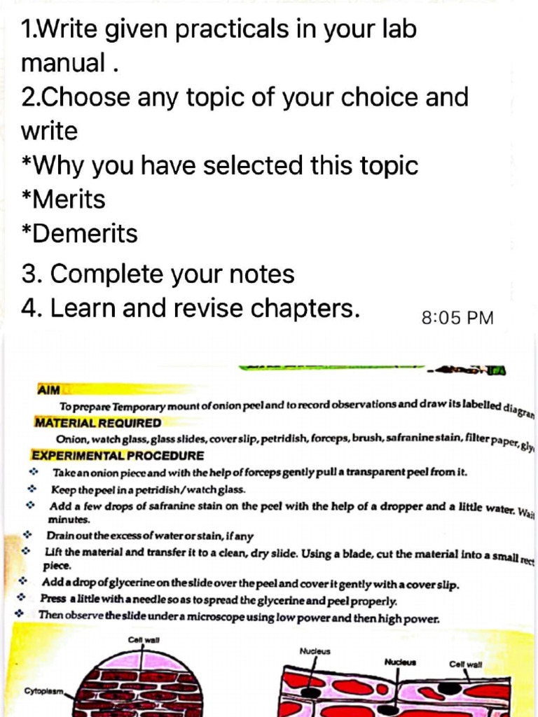 Biology Holiday Homework Class IX | PDF | Axon | Myelin