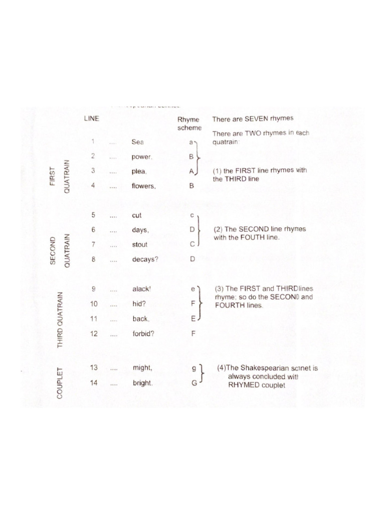 There Are SEVEN Rhymes | PDF