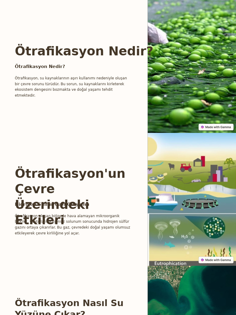 Otrafikasyon Nedir | PDF