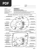 Cell Parts Functions Worksheet | PDF | Cell Nucleus | Cell (Biology)