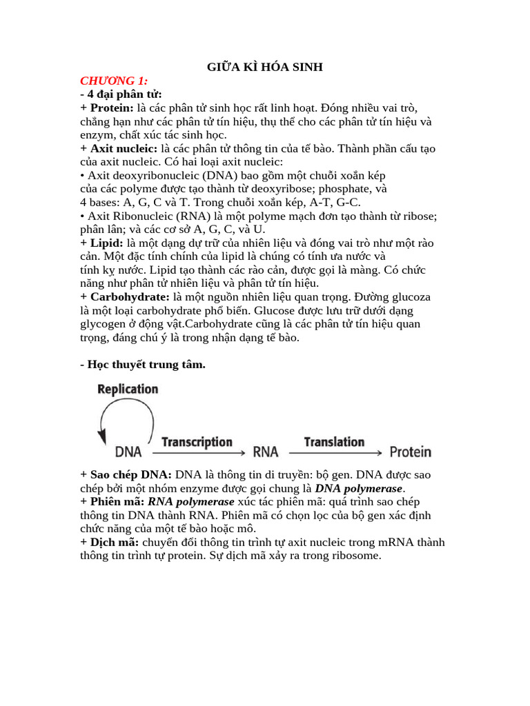 Giữa Kỳ Hóa Sinh Học (Anh Kha) | PDF