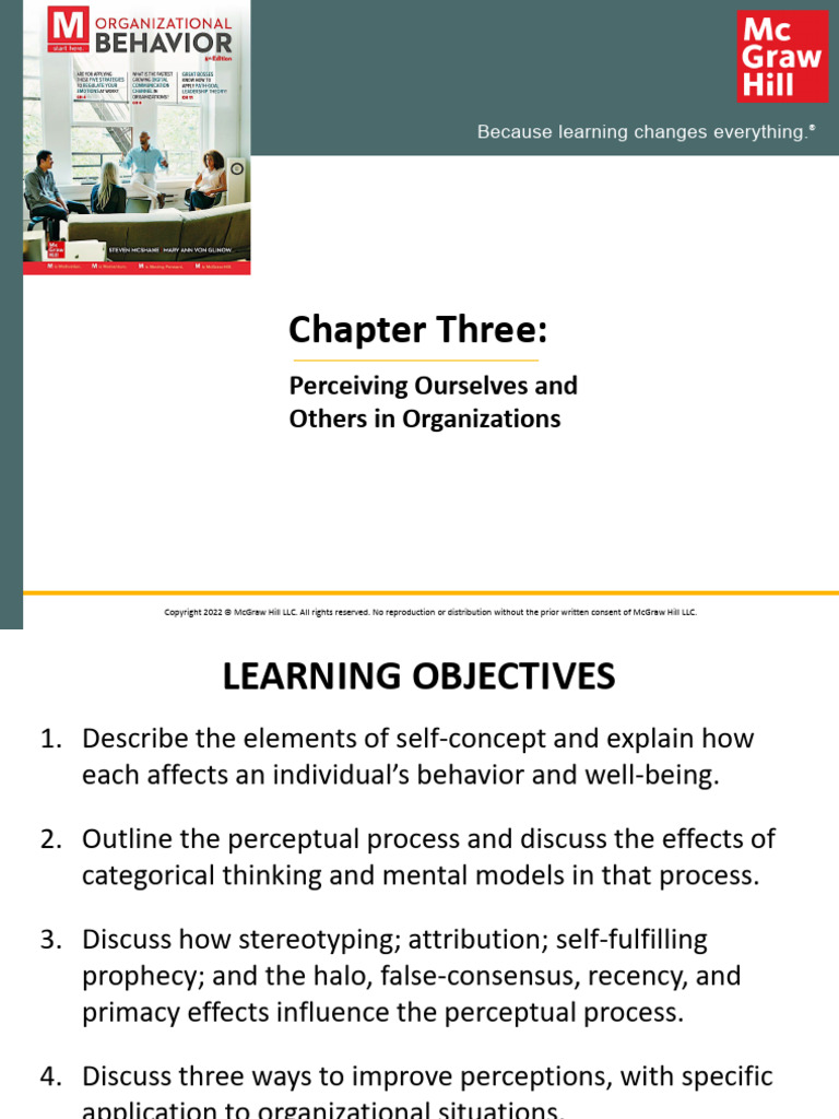 McShane 5e PPT Ch03 ACCESS | PDF | Self Concept | Perception
