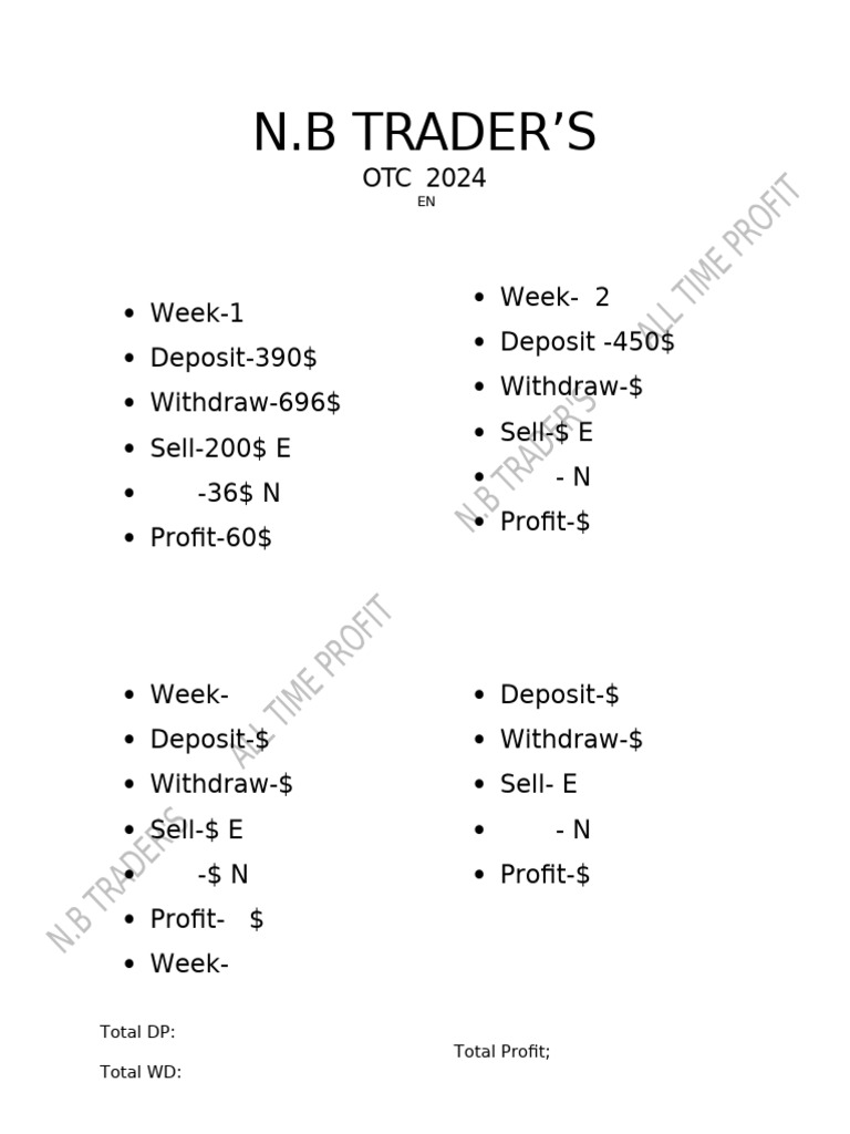 N.B Trader's 2024 Profit Overview | PDF