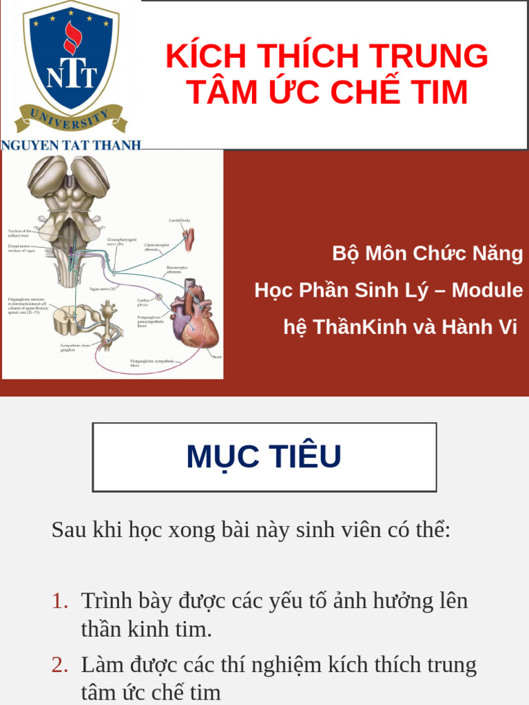Kích Thích Trung Tâm Ức Chế Tim Module Ntt | PDF