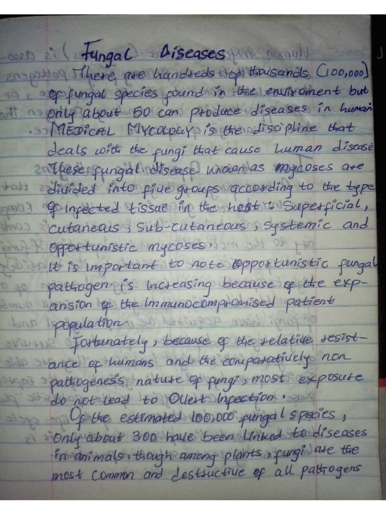 SLT 314 Complete Note | PDF