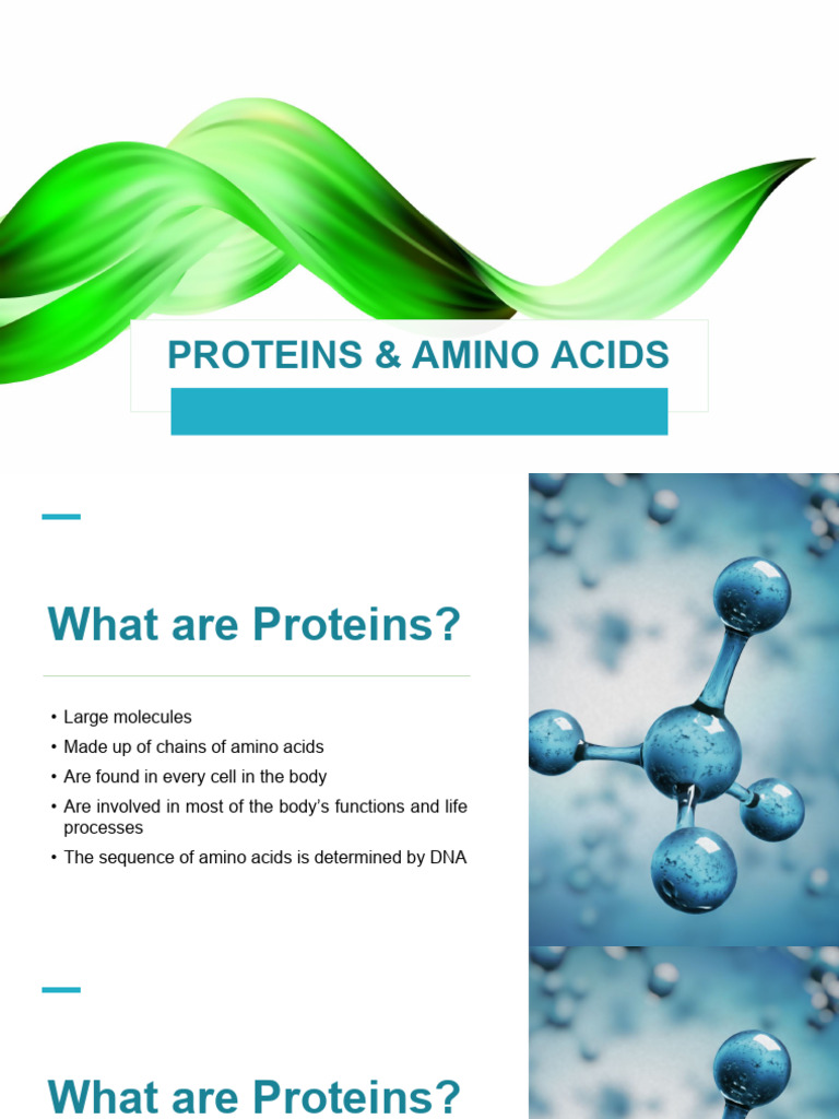 Lecture 10-Proteins & Amino Acids | PDF | Proteins | Amino Acid