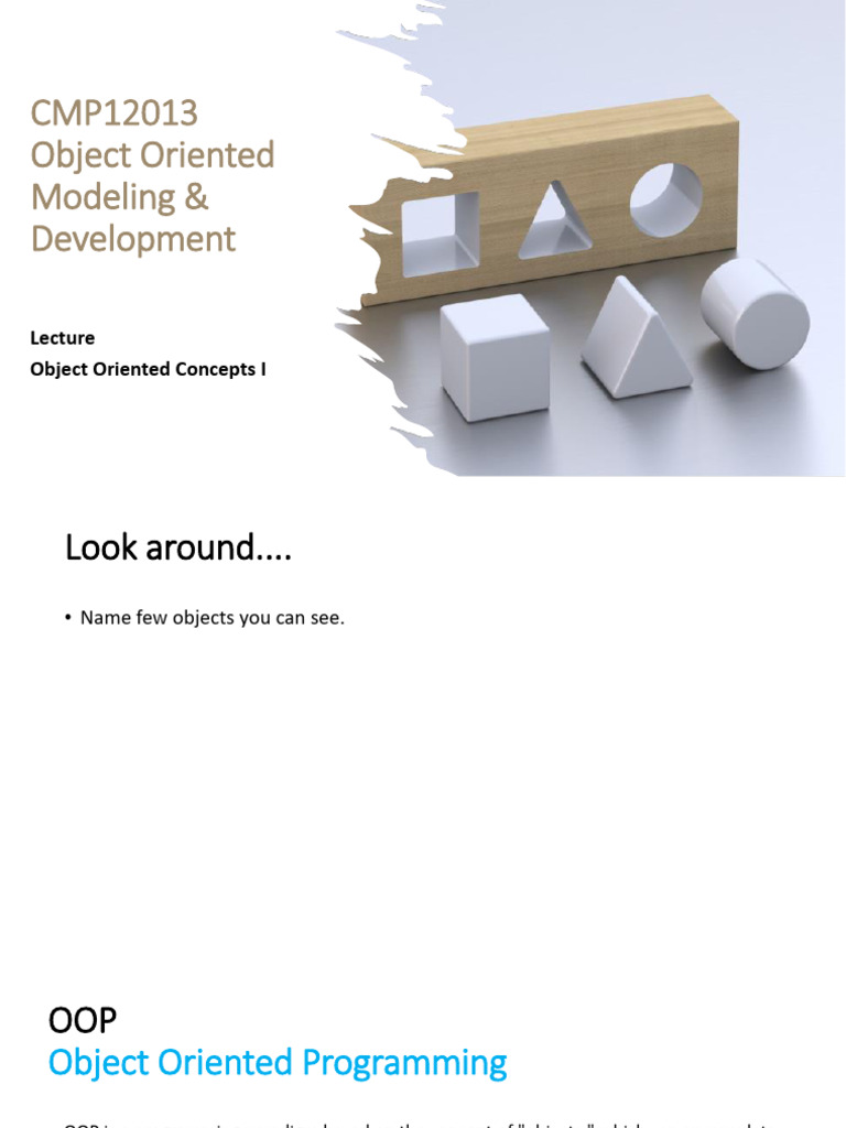 Lecture 14 Oop Concepts I Pdf Object Oriented Programming Programming