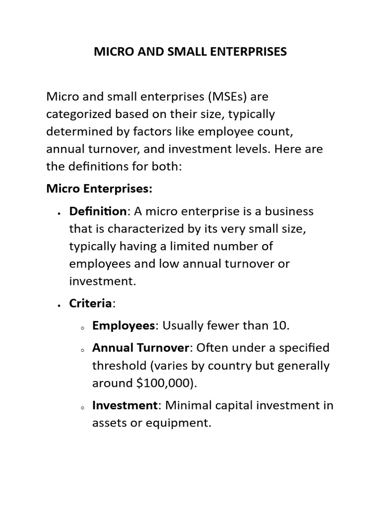 Micro vs Small Enterprises Explained | PDF | Entrepreneurship | Microsoft
