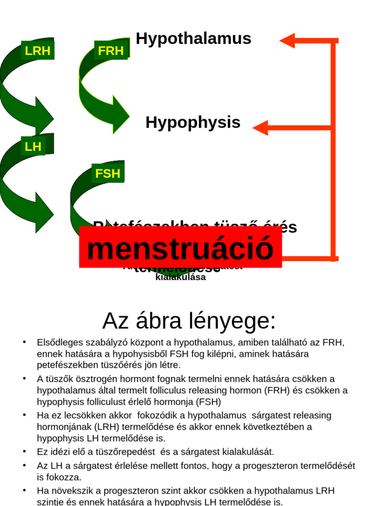19 Petefészek Működése | PDF