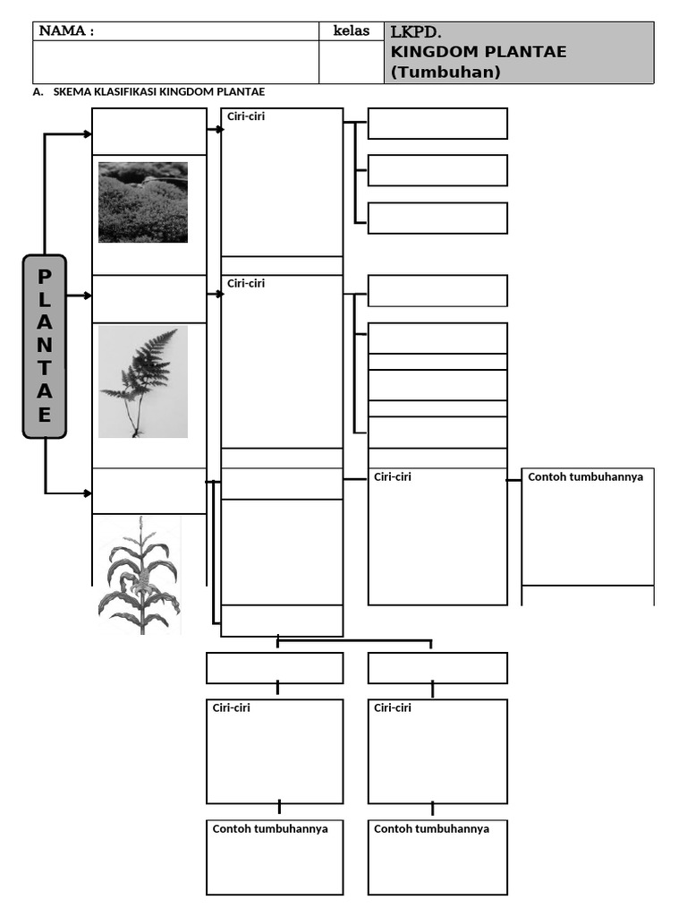 LKPD Klasifikasi Plantae | PDF