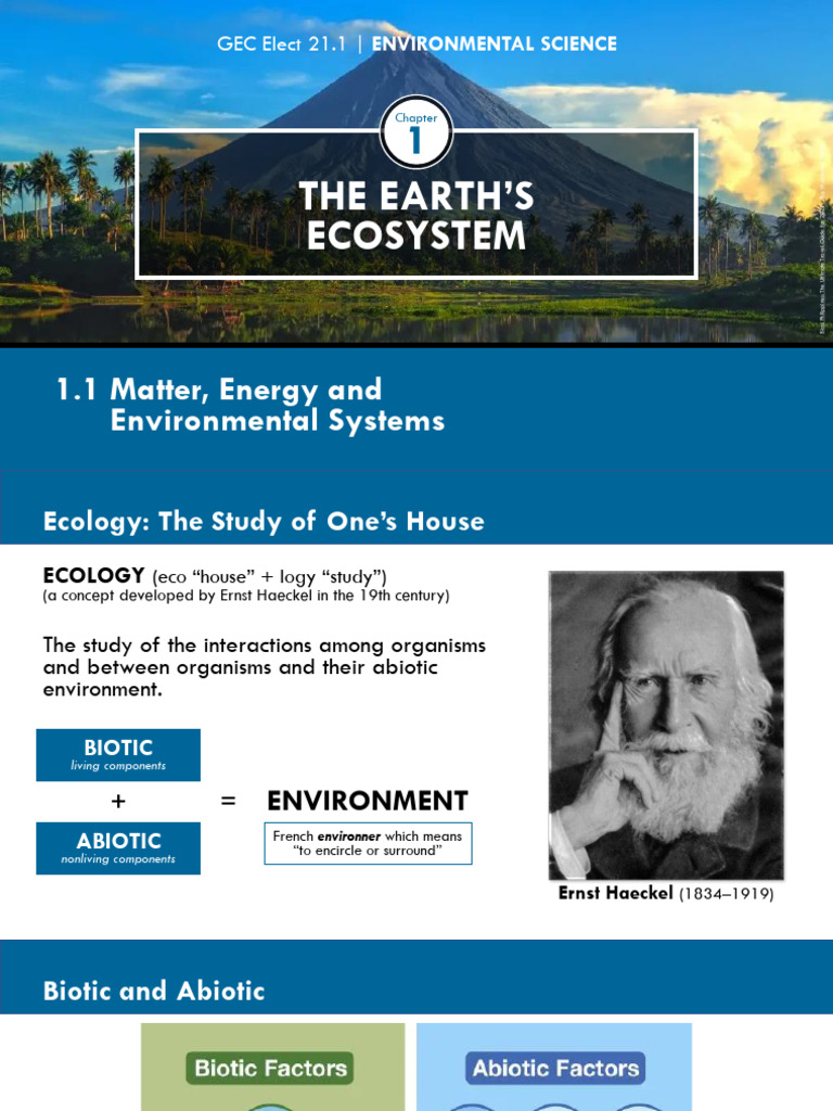 Envi Sci BSME 2A Lesson 1 | PDF | Food Web | Ecosystem