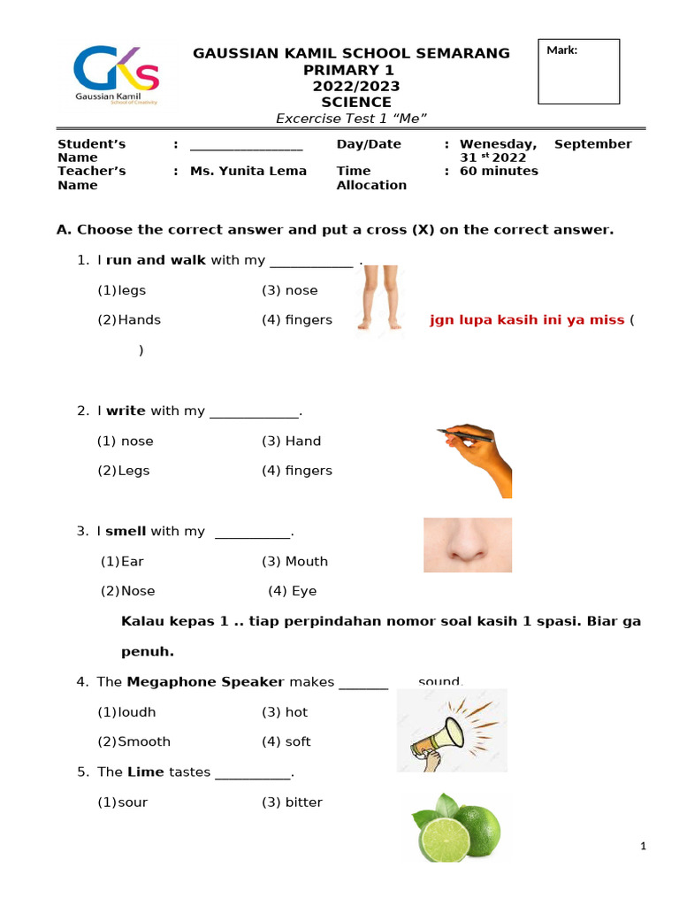 P1 SCIENCE DAILY TEST 1 | PDF | Taste | Human Head And Neck