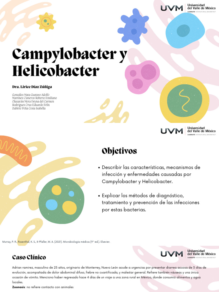 Infecciones por Campylobacter y Helicobacter | PDF | Diarrea | Infección