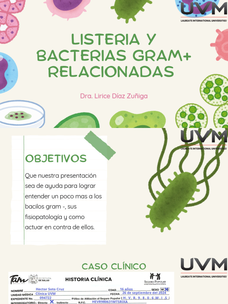 Listeria y Bacterias Gram+: Diagnóstico y Tratamiento | PDF ...