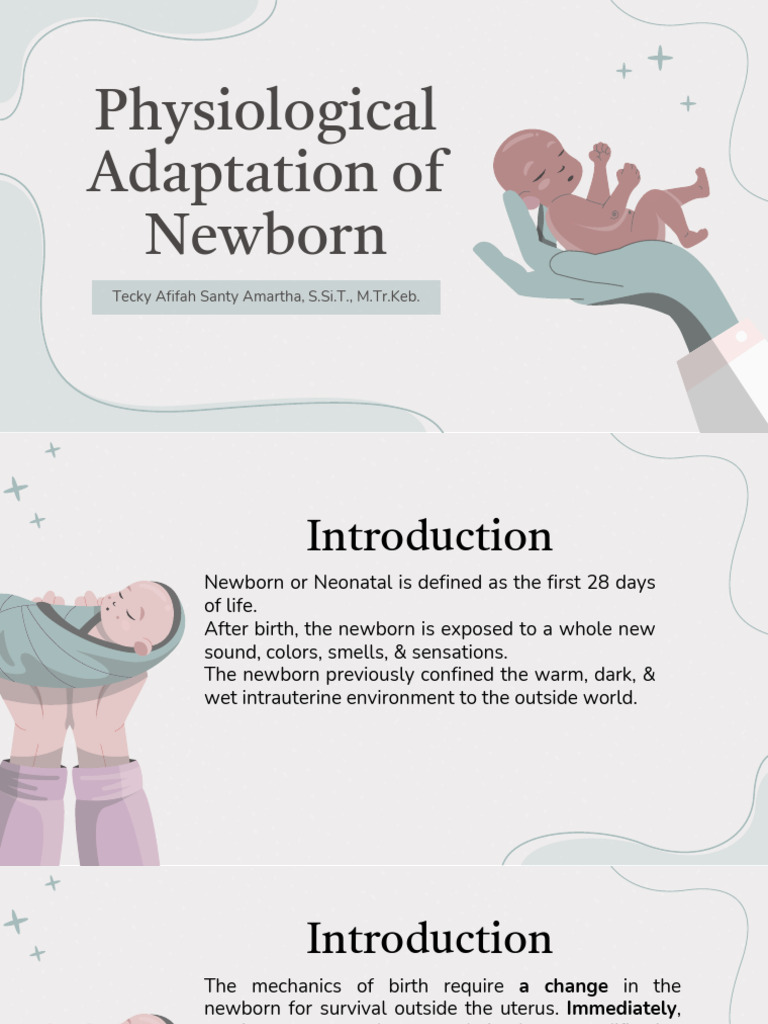 14.physiological Adaptation of Newborn | PDF | Stomach | Respiratory System