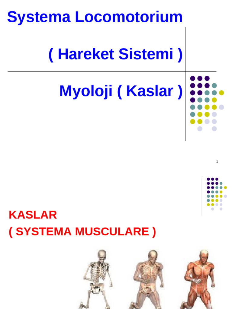 04-Kaslar 2 | PDF