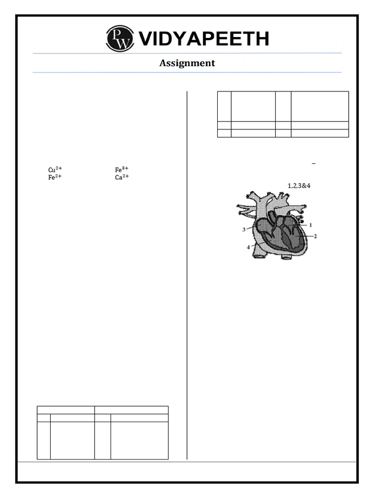 AIR Assignment - Body Fluids and Circulation - Rajeev Sir | PDF | Heart | Heart Valve