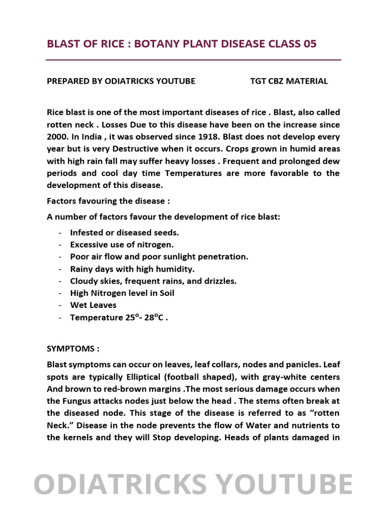 Rice Blast 05 | PDF | Branches Of Botany | Fungus