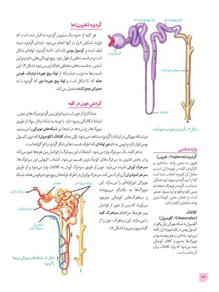 Extracted pages from asrtgfdyhyg2-2 | PDF Extracted pages from asrtgfdyhyg2-2 | PDF