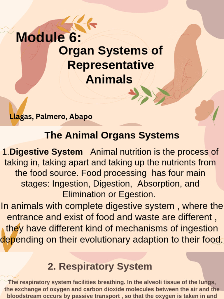 Module-6-ELS 20241020 173640 0000 | PDF | Muscle | Skeleton
