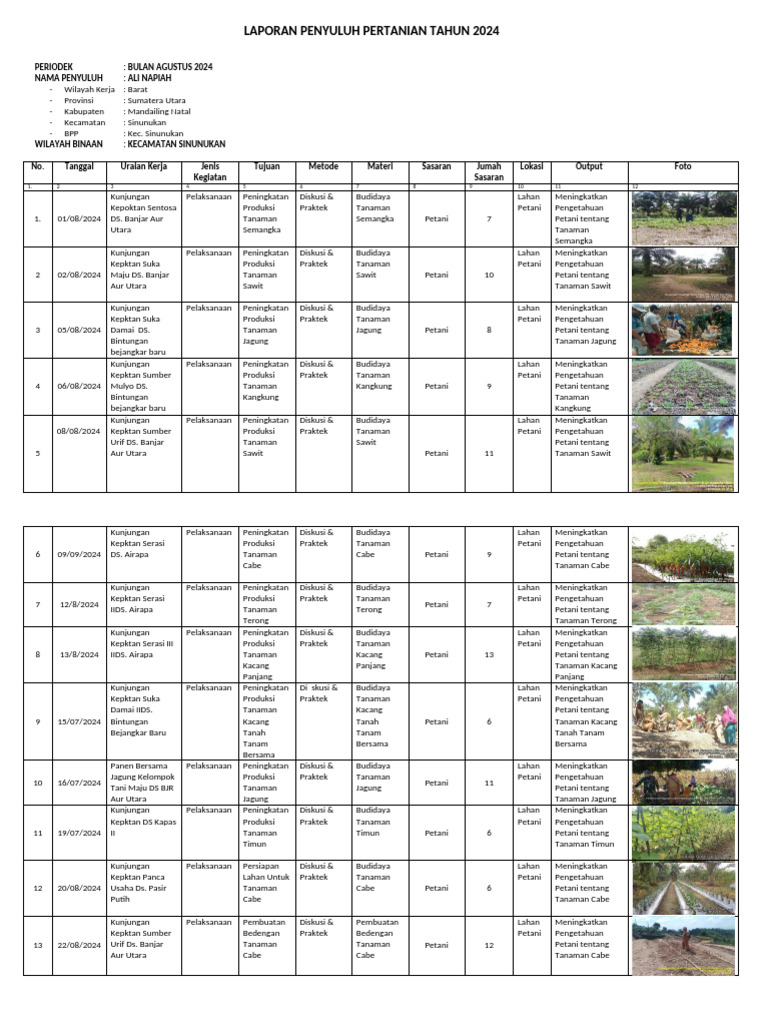 Laporan Penyuluhan Pertanian 2024 | PDF